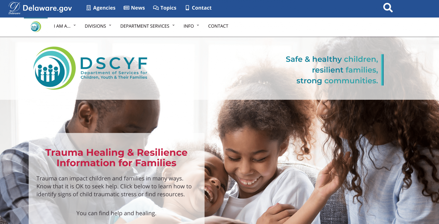 Website Projects - Government Information Center